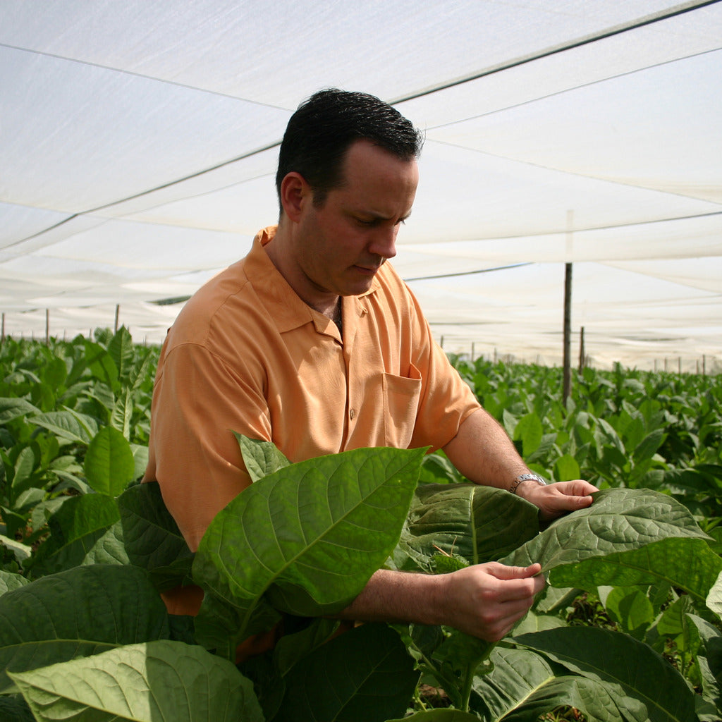 MARCUS DANIEL® SHADE GROWN Classic – MARCUS DANIEL FINE CIGARS ...